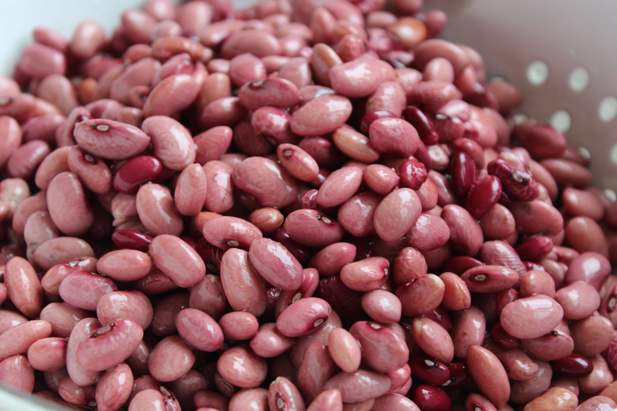 Red Beans and Rice (My Way) - A Feast For The Eyes