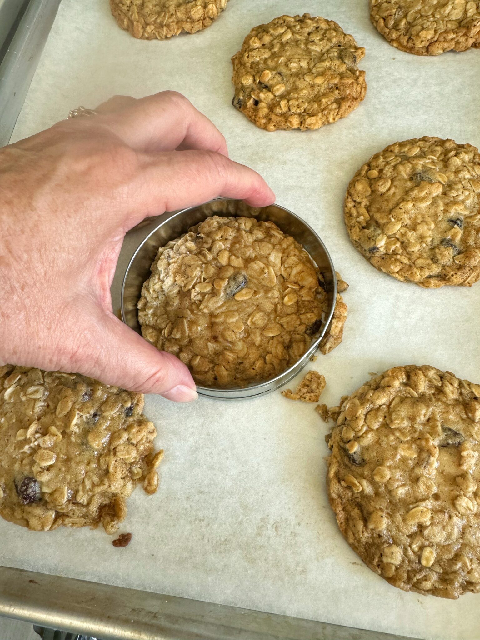 The Best Classic Chewy Oatmeal Cookies - A Feast For The Eyes